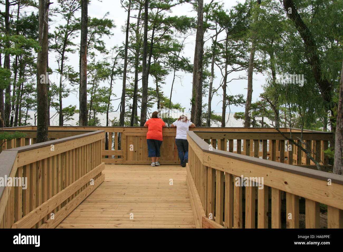 The T-C Boardwalk, part of a U.S. Fish and Wildlife Service recovery ...