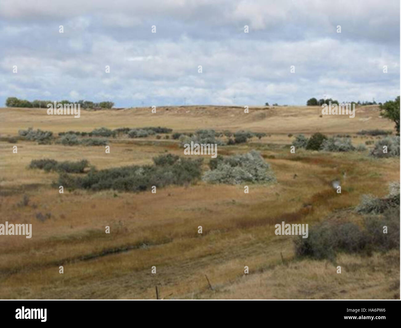 The U.S. Fish and Wildlife Service's Recovery Act projects focus on ...