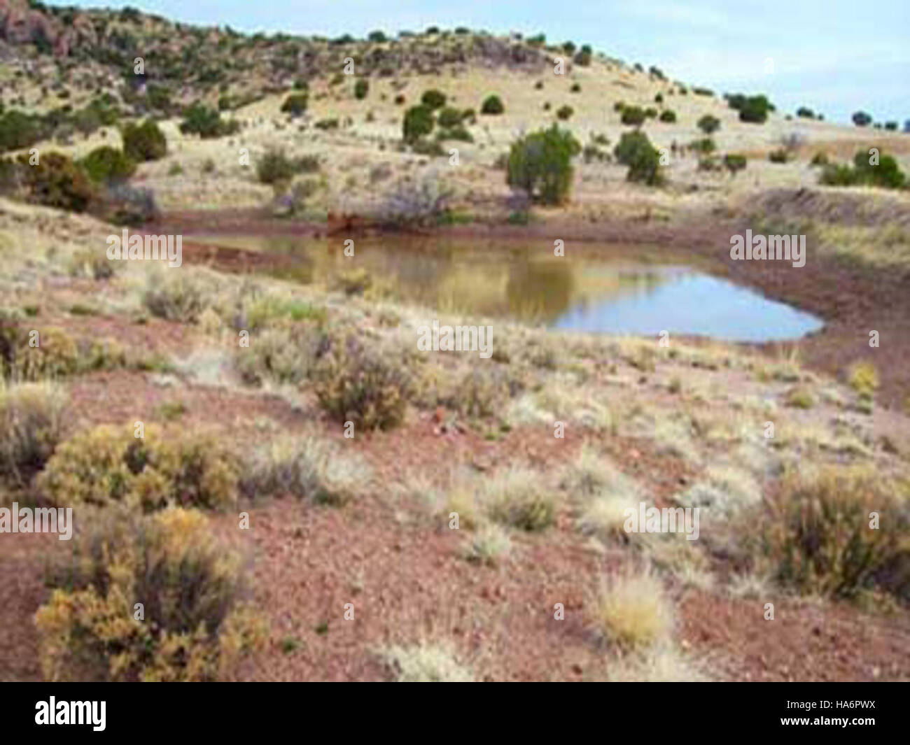 The Burro Cienega Dirt Tank in New Mexico is set for habitat ...