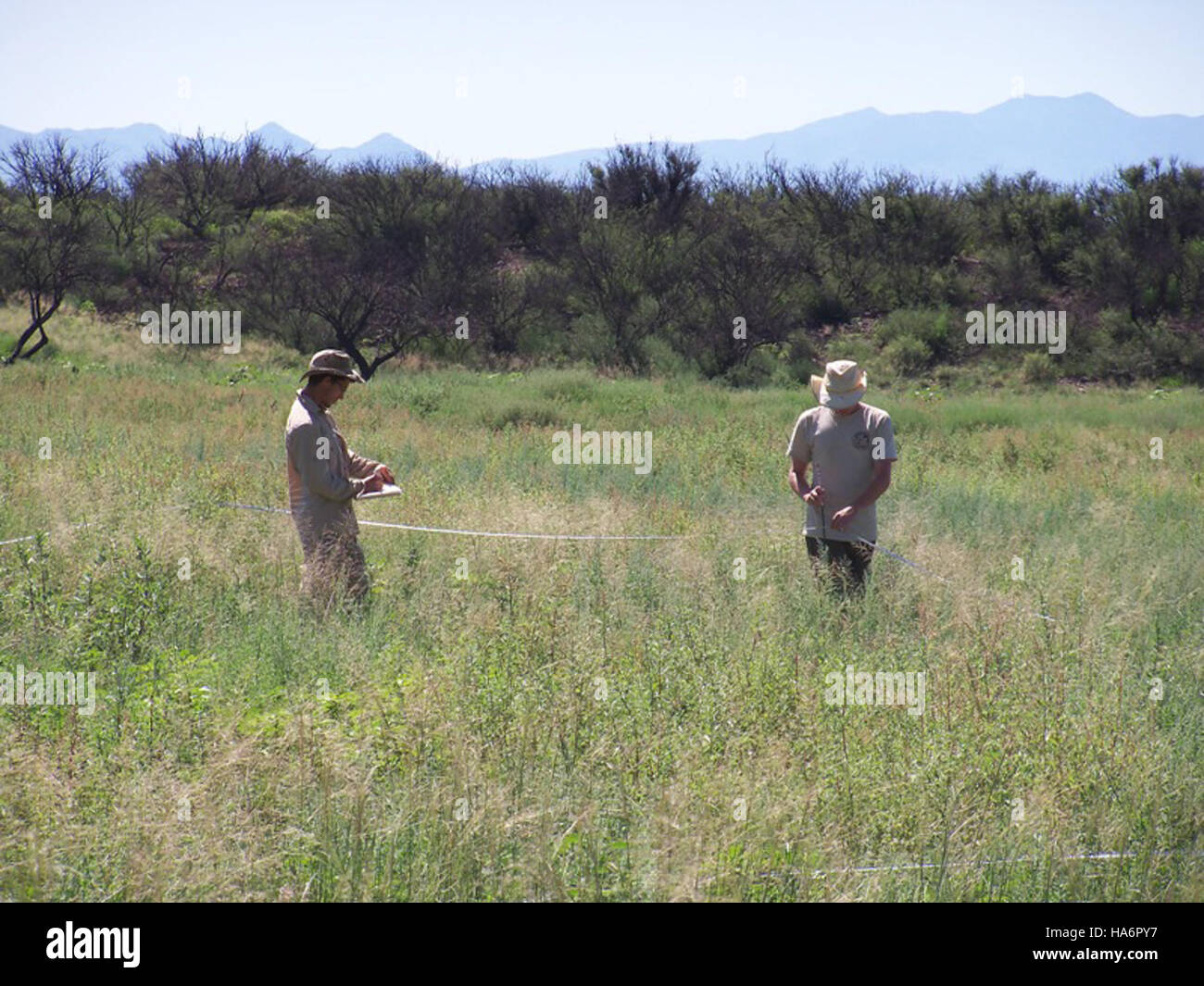 Suttner hi-res stock photography and images - Alamy