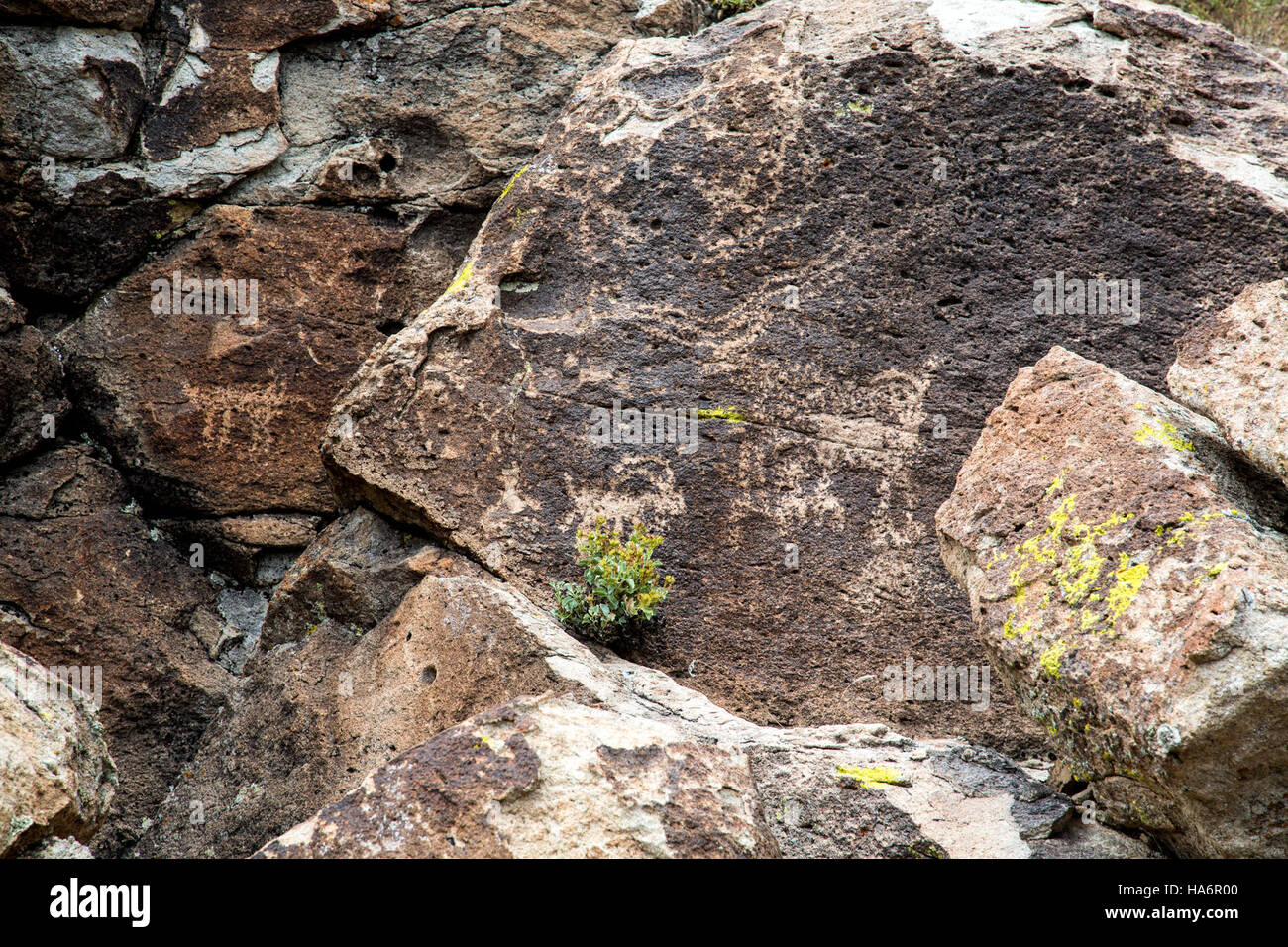 Basin and Range National Monument in Nevada, including Mount Irish ...