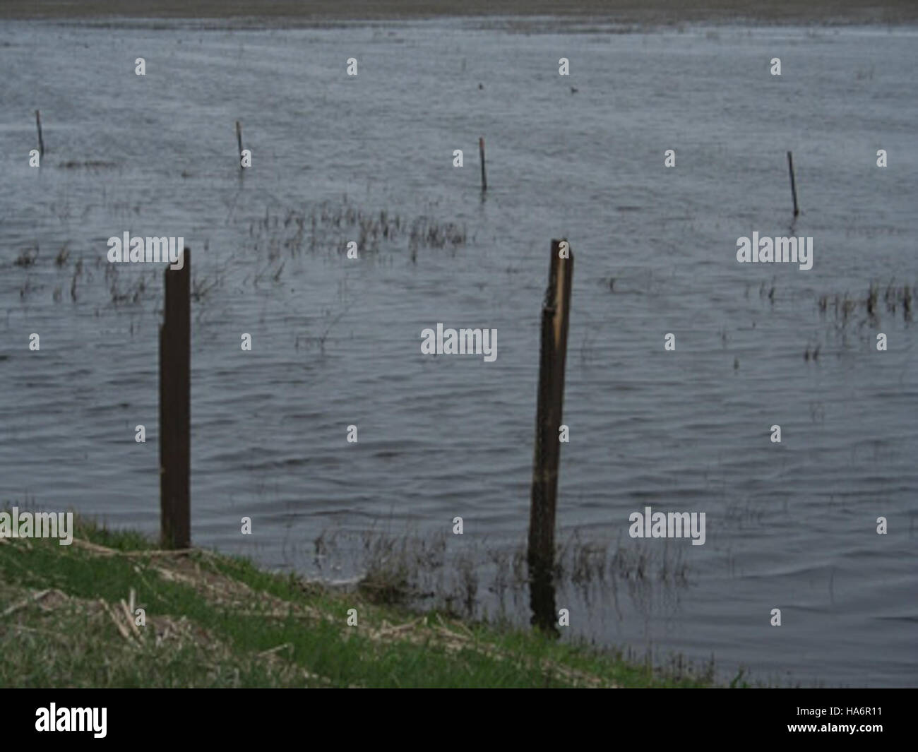 The Long Lake National Wildlife Refuge is a key site for habitat ...