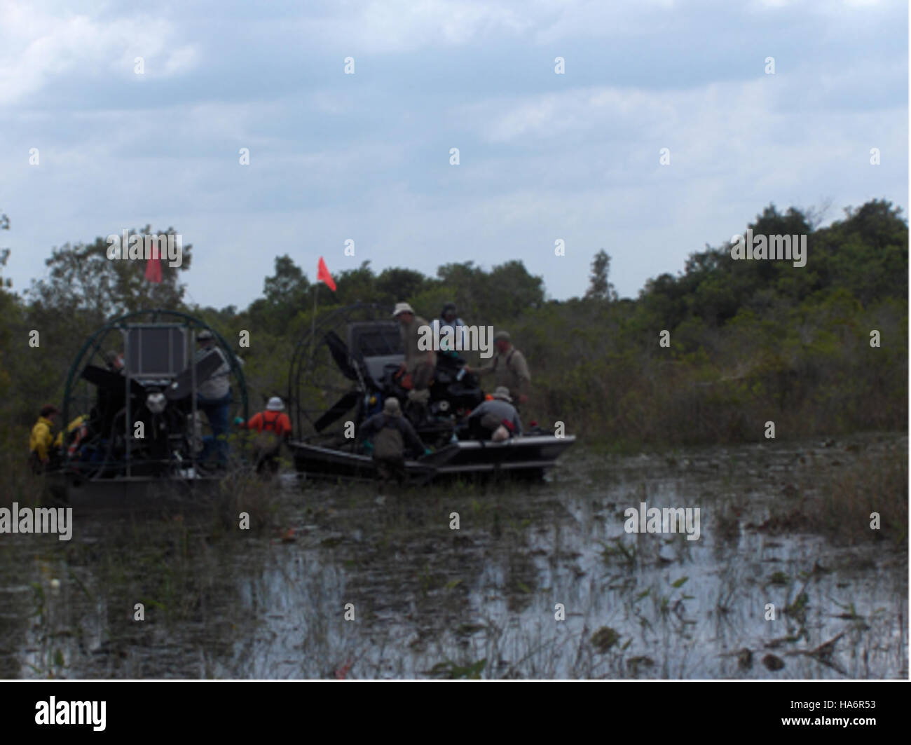 Arthur r marshall loxahatchee hi-res stock photography and images - Alamy