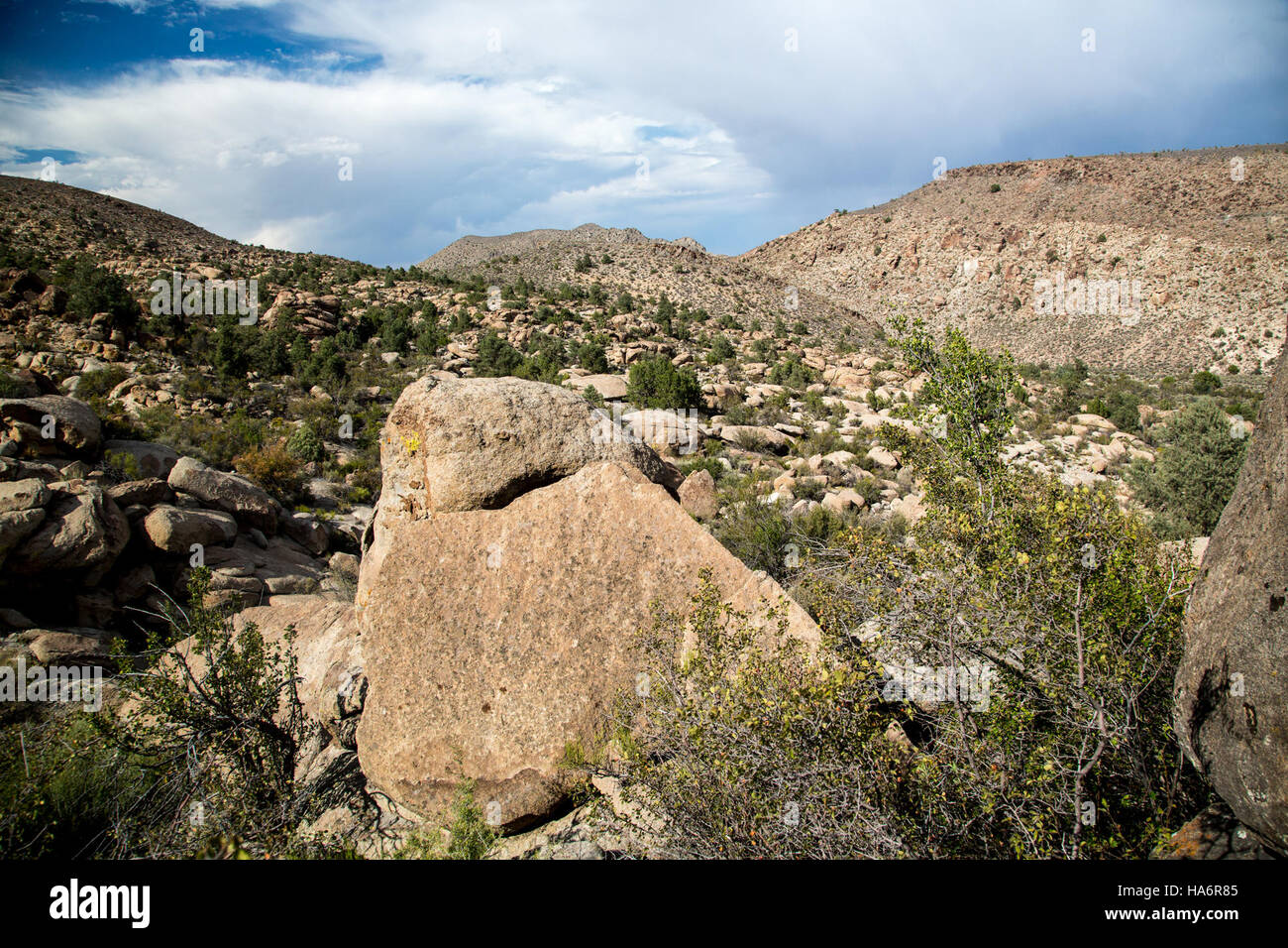 Mount Irish, located within the Basin and Range National Monument in ...