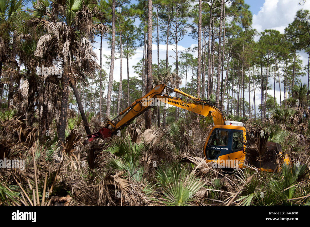 The U.S. Fish and Wildlife Service (USFWS) has been involved in ...