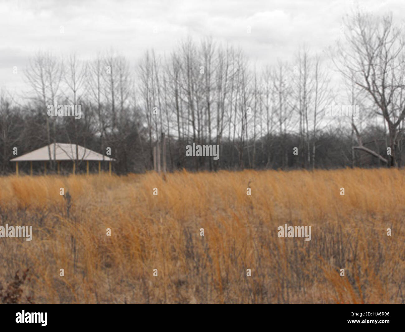 The Deep Fork National Wildlife Refuge is part of a recovery project ...