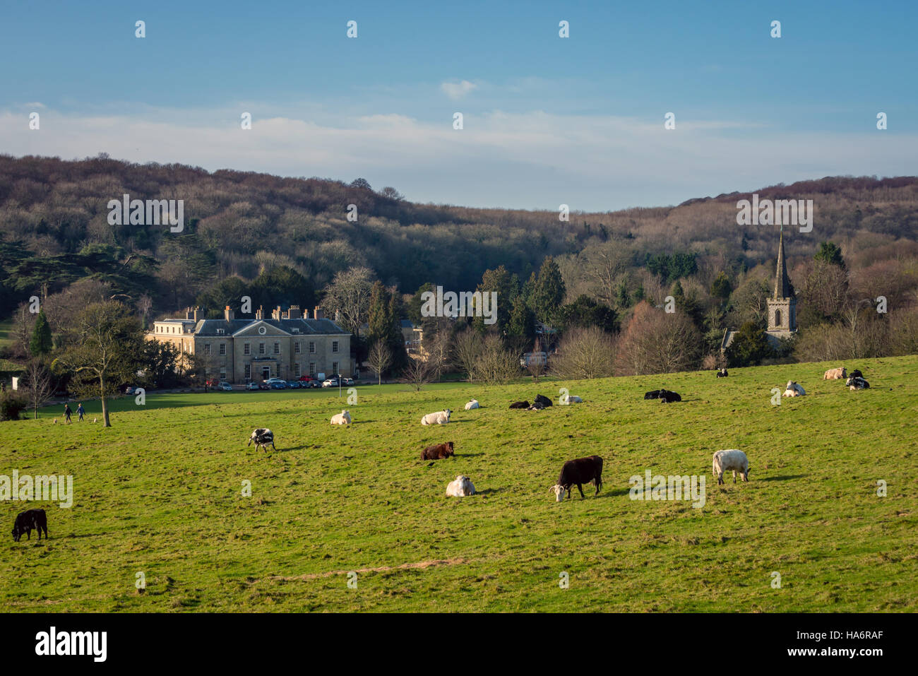 Stanmer park hi-res stock photography and images - Alamy