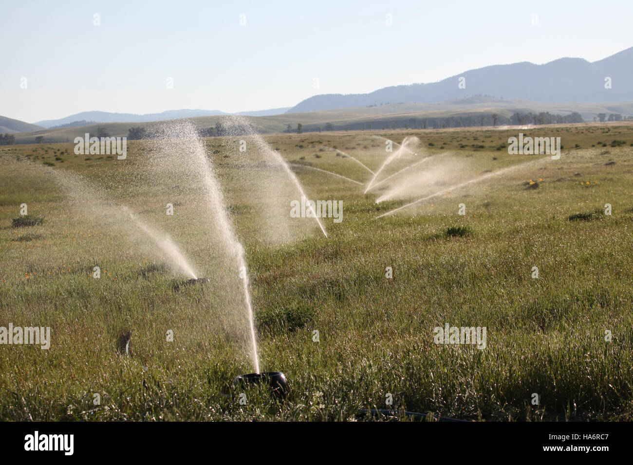 Public works on local hi-res stock photography and images - Alamy