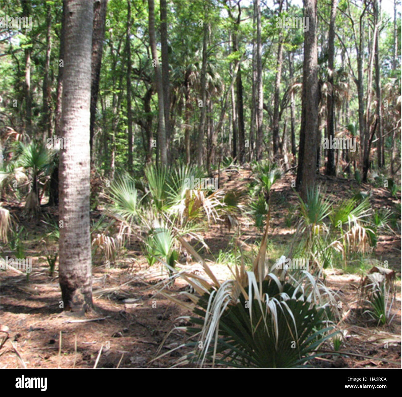 This image is part of the *Greetings from Ohio* collection, featuring ...