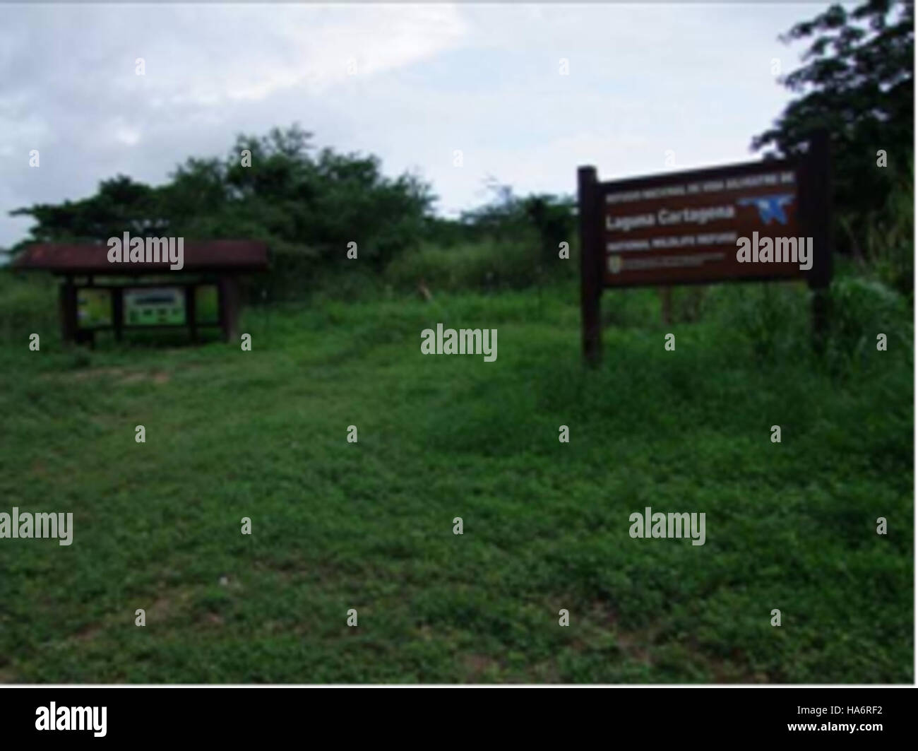 This image represents the *Recovery Act Projects* at Laguna Cartagena ...