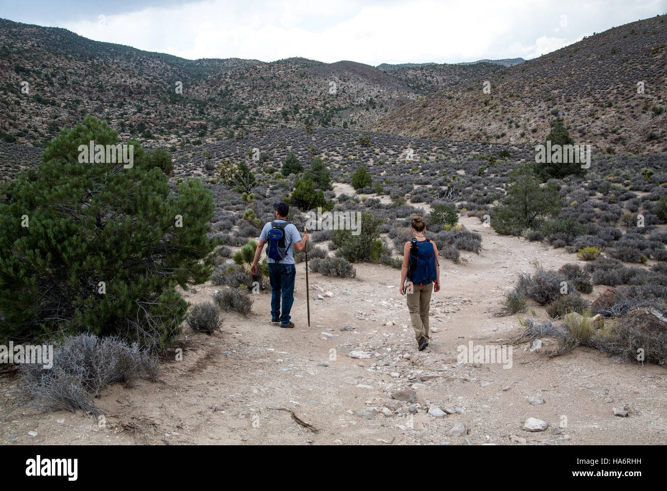 This photograph, taken in the Basin and Range region near Mount Irish ...