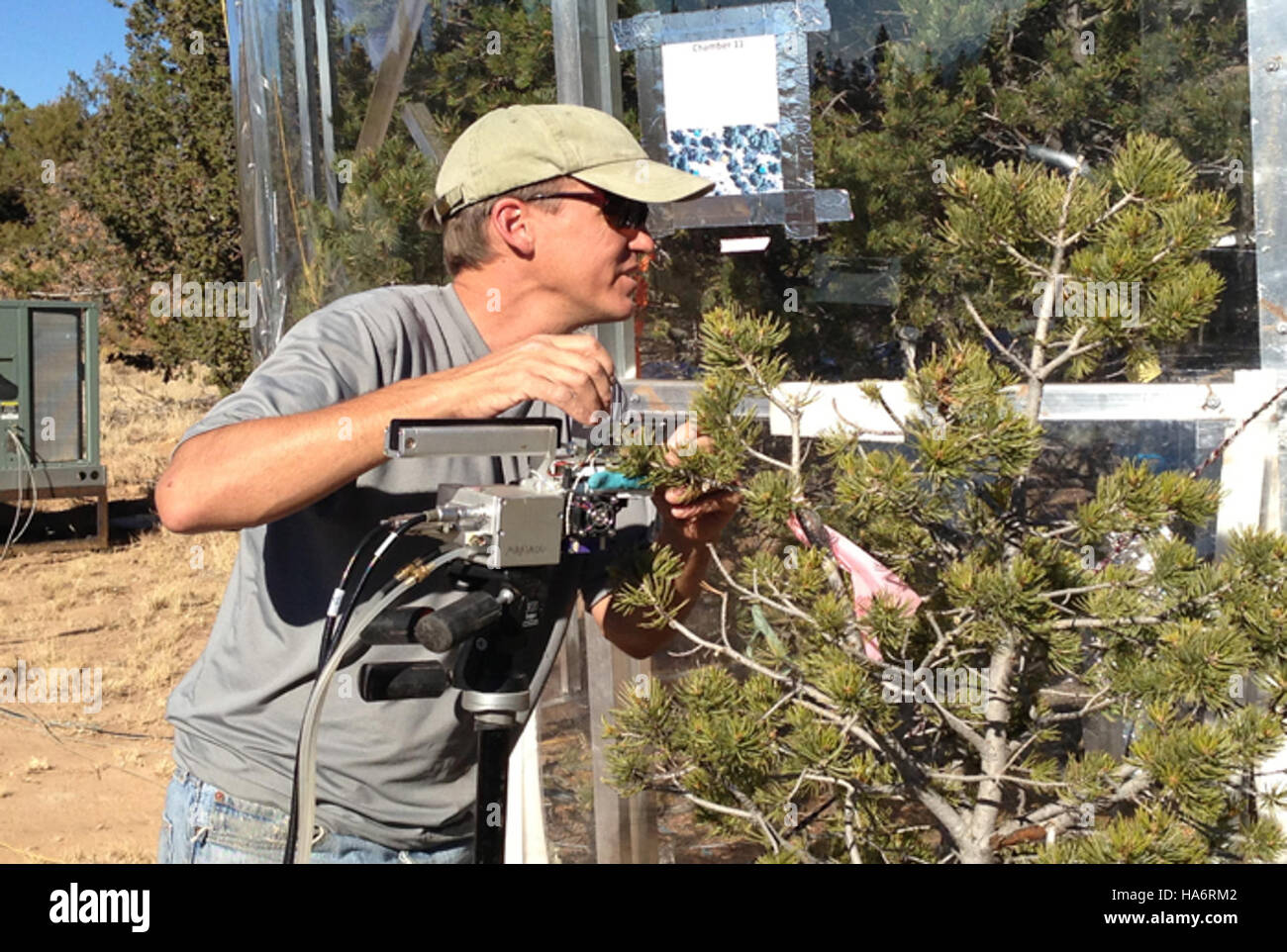 losalamosnatlab 17683209940 Nate McDowell Stock Photo - Alamy