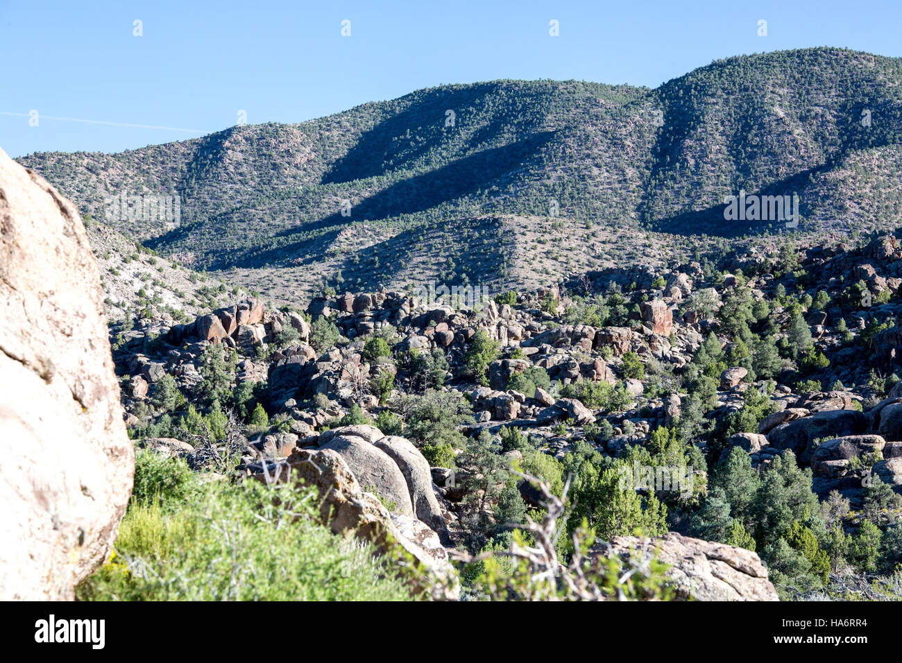 The Basin and Range landscape near Mount Irish in Nevada is renowned ...