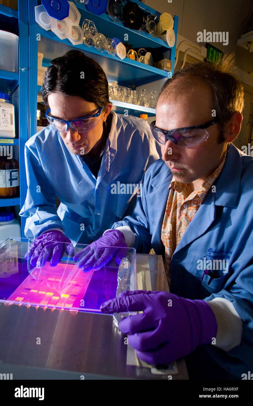 Stable isotope hi-res stock photography and images - Alamy