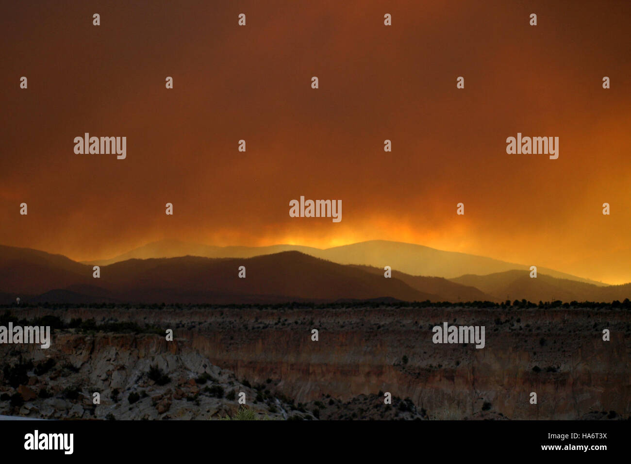 Nuclear disaster aftermath hi-res stock photography and images - Alamy