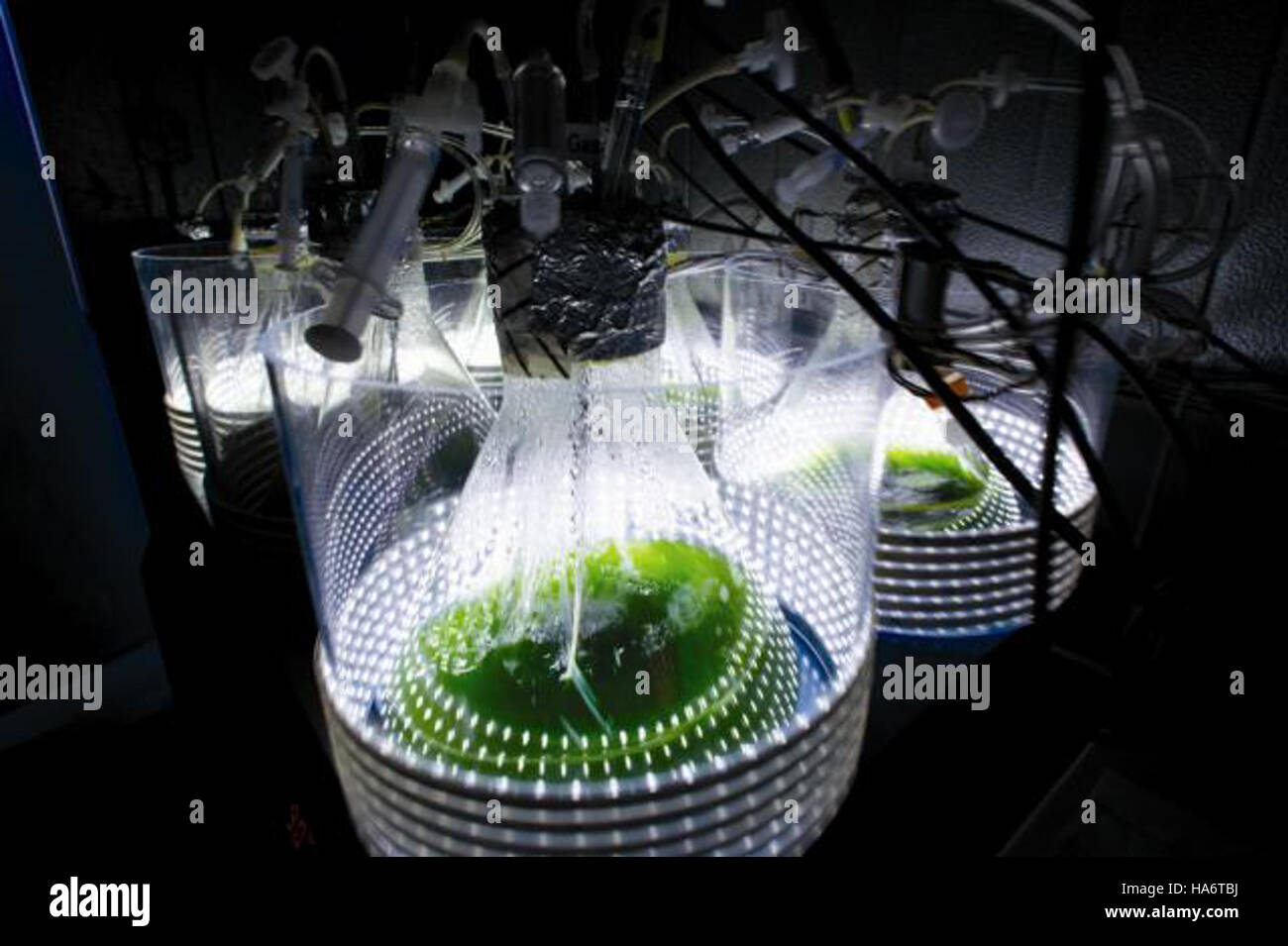 Photobioreactor High Resolution Stock Photography and Images - Alamy