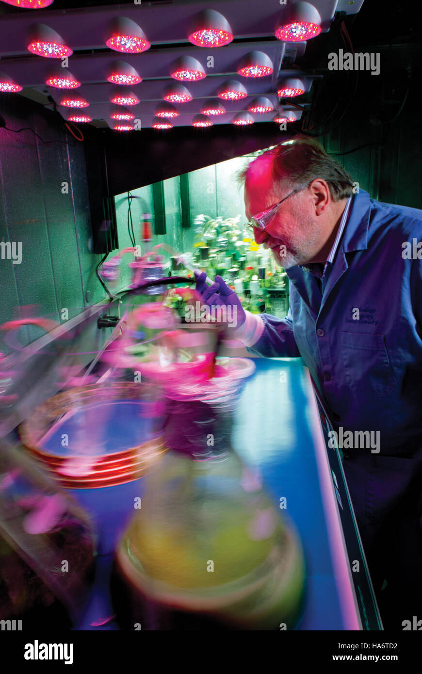 Bioscientist hi-res stock photography and images - Alamy