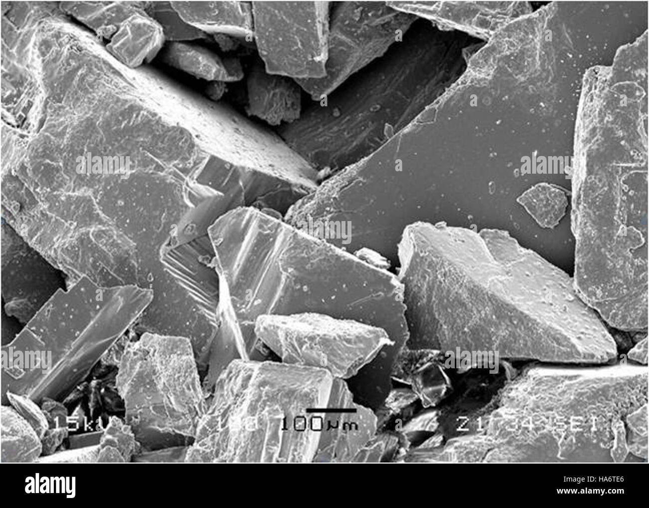 This image shows a detailed microscopic view of salt samples from the ...