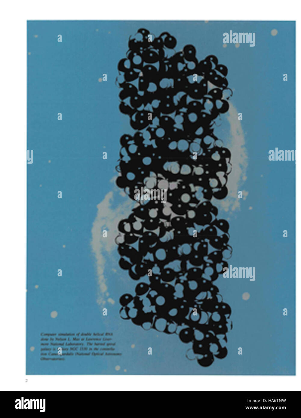 The study of the cosmos in relation to life and consciousness explores ...