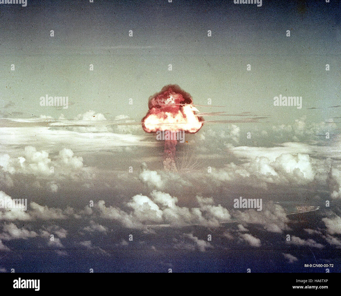 losalamosnatlab 7597481694 Ivy King Stock Photo - Alamy