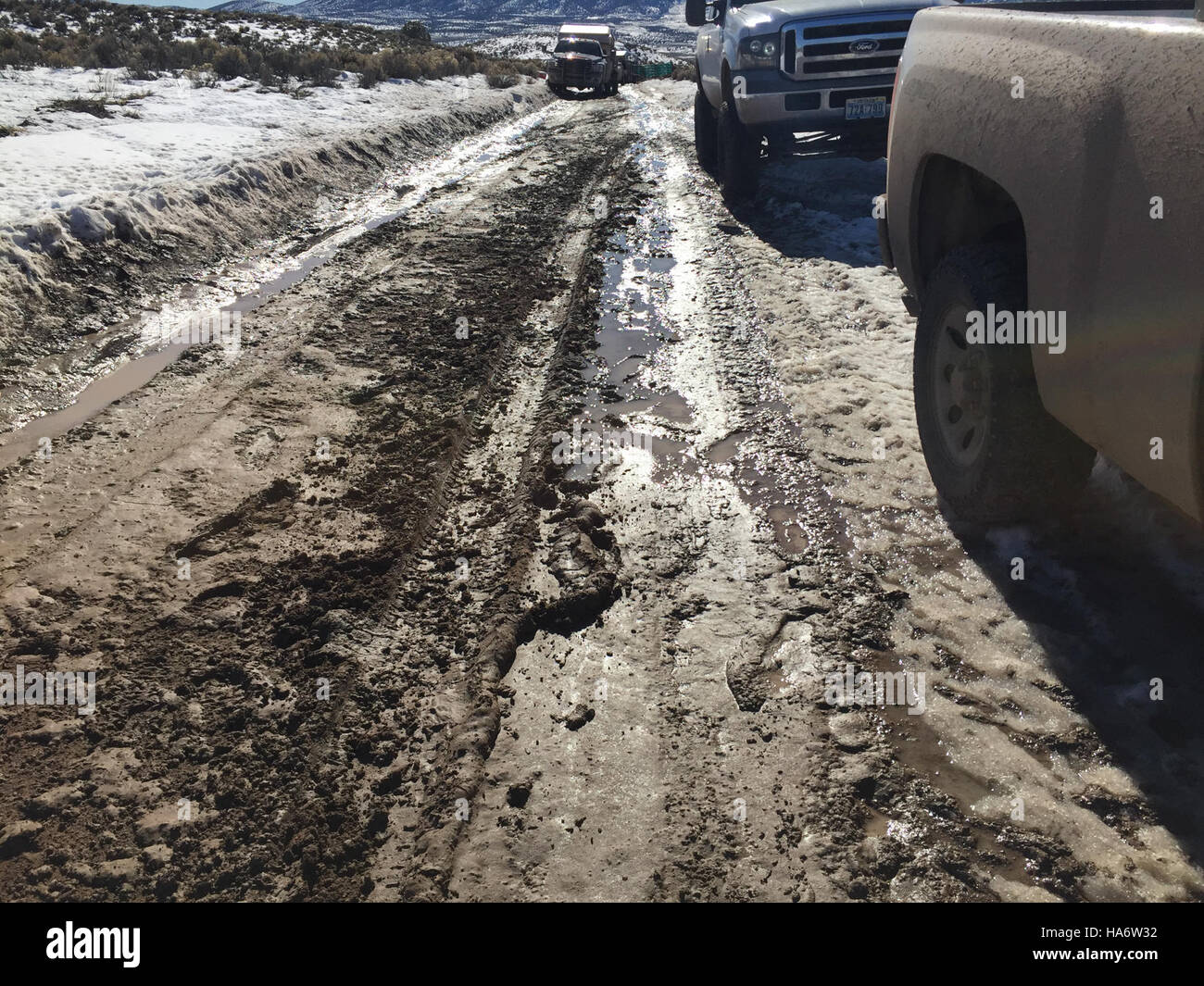 The Bureau of Land Management (BLM) conducted an emergency gather ...