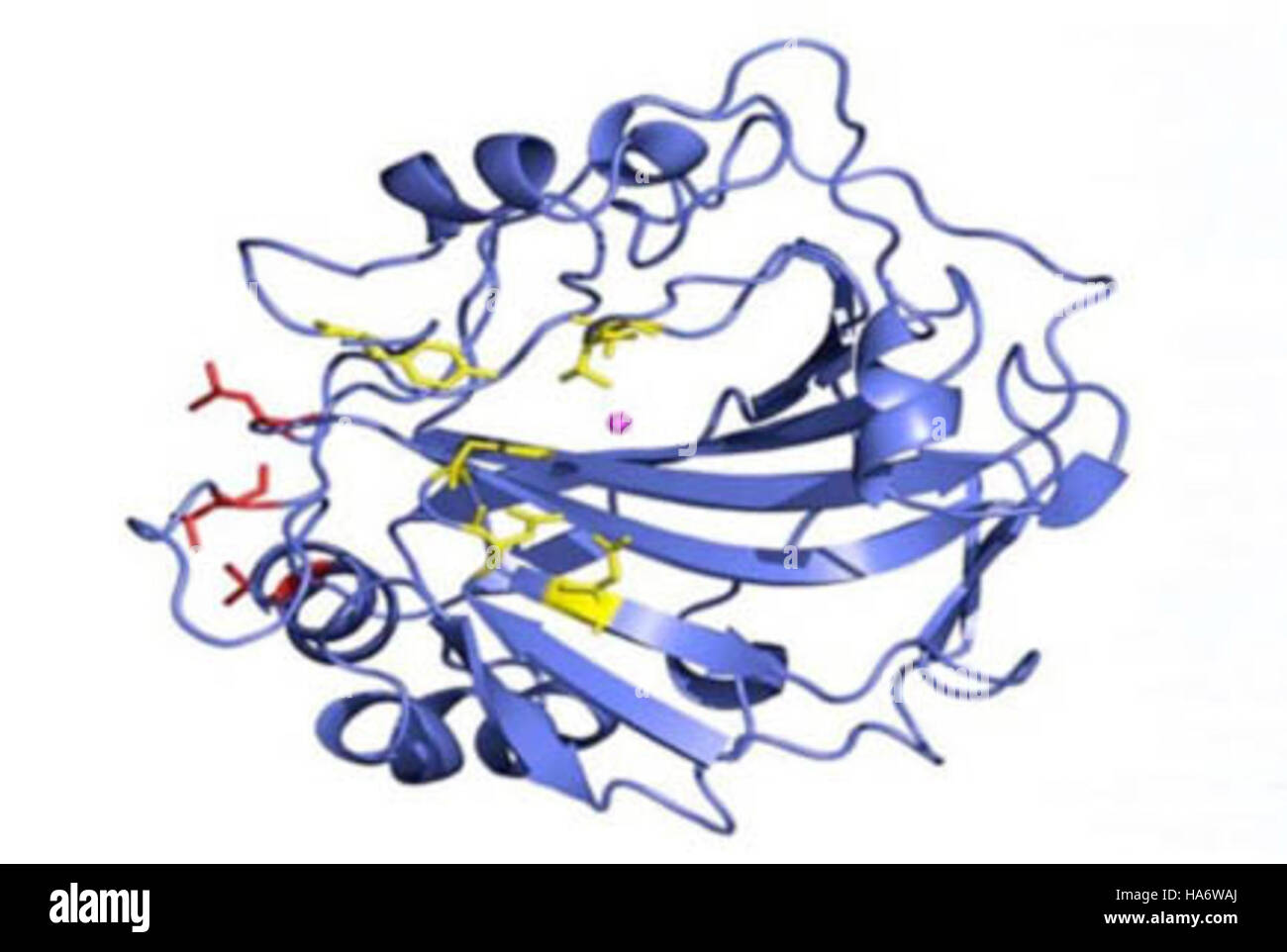 losalamosnatlab 8205779881 Carbonic anhydrase II enzyme Stock Photo - Alamy