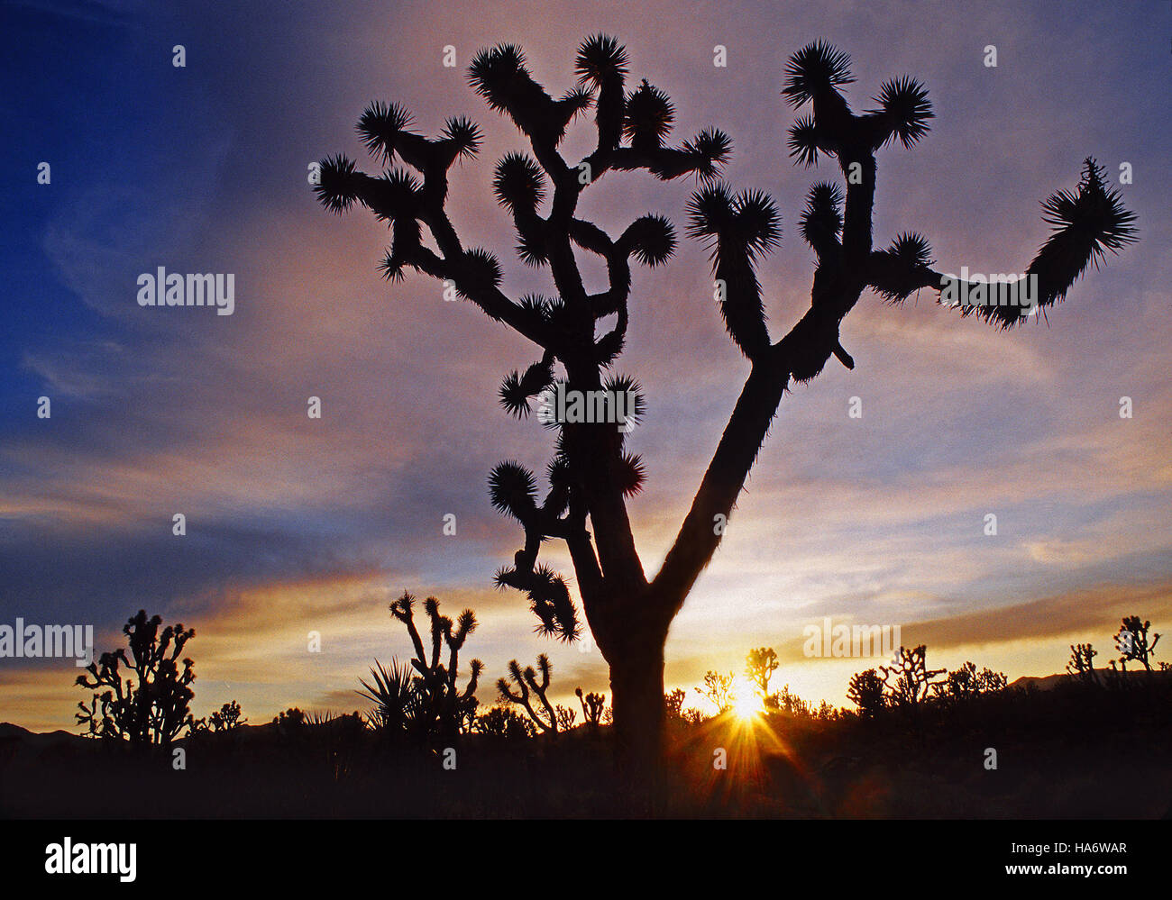 Afterthought hi-res stock photography and images - Alamy