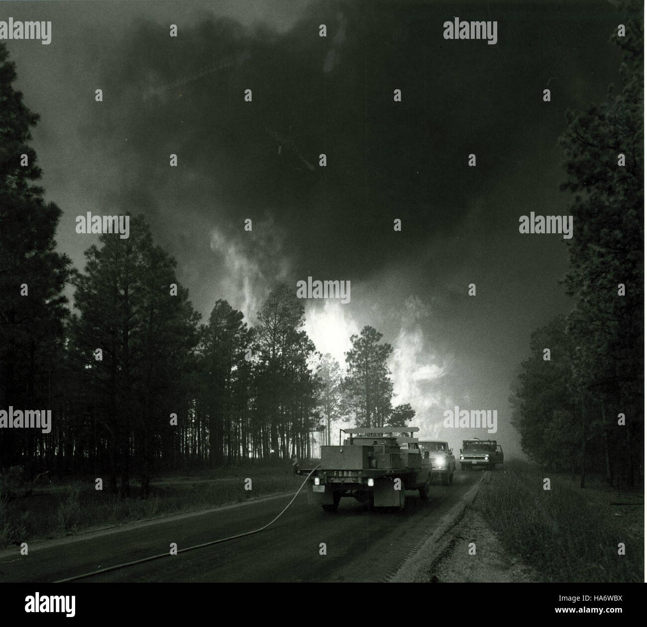 The 1977 La Mesa Fire in Los Alamos, New Mexico, was a significant ...