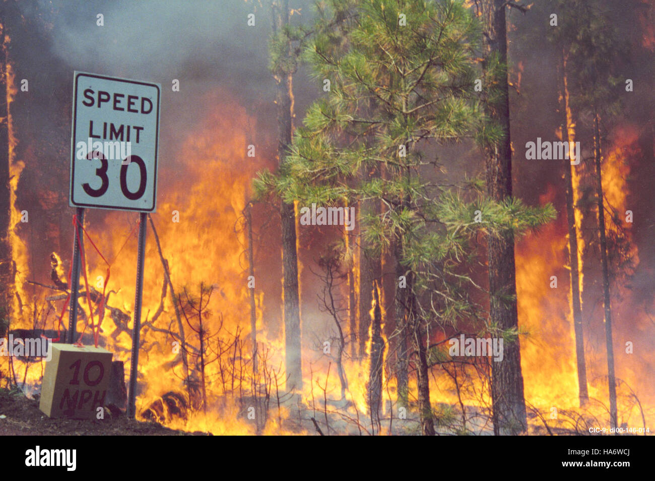 The 2000 Cerro Grande Fire in Los Alamos, New Mexico, remains a pivotal ...