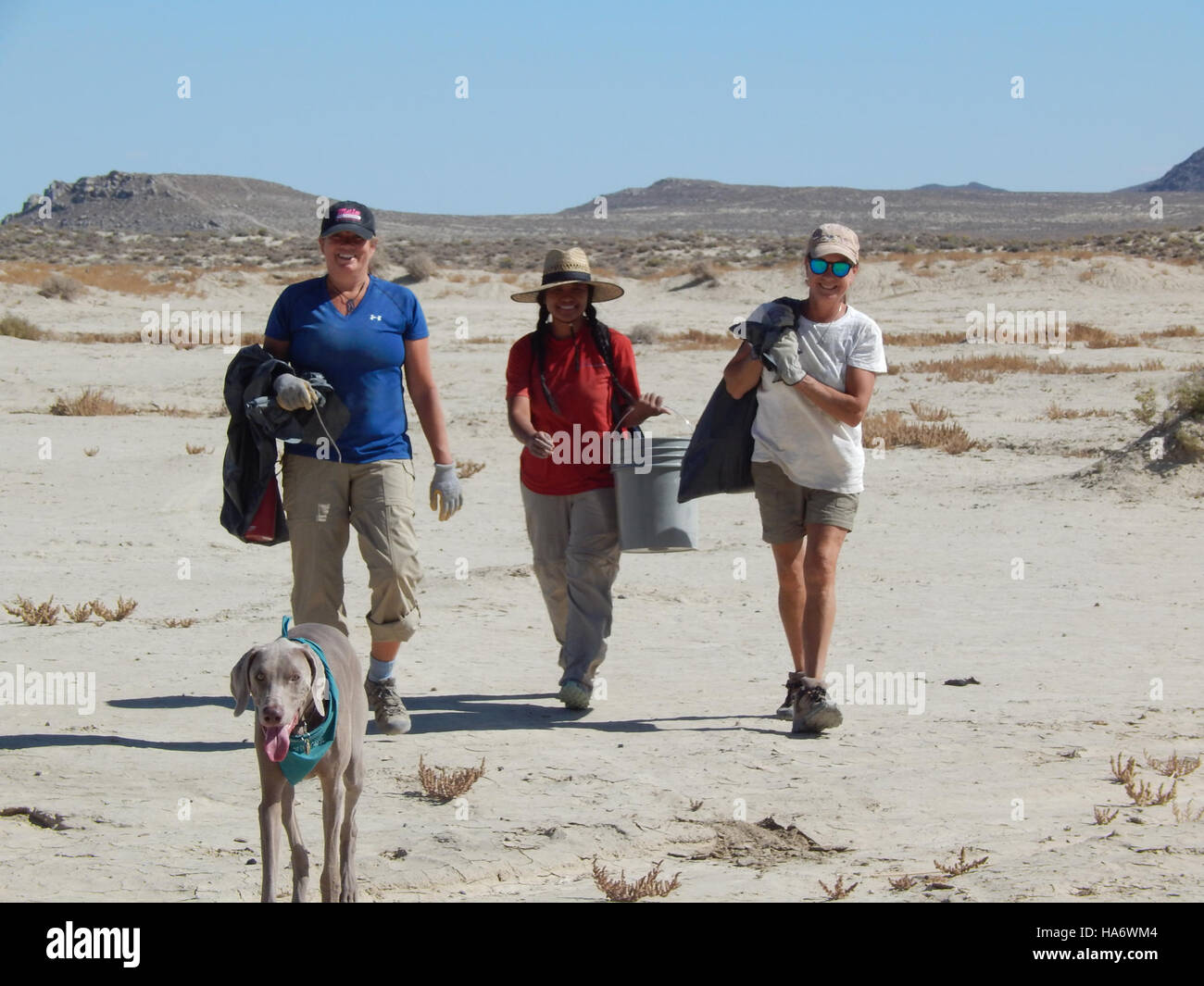 Malsam hi-res stock photography and images - Alamy