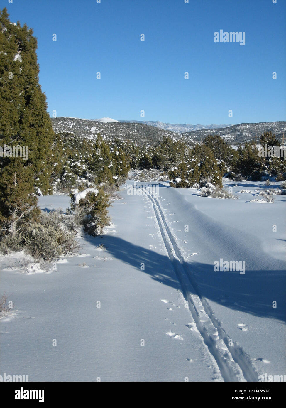 Cross-country skiing at Ward Mountain in Nevada, managed by the Bureau ...