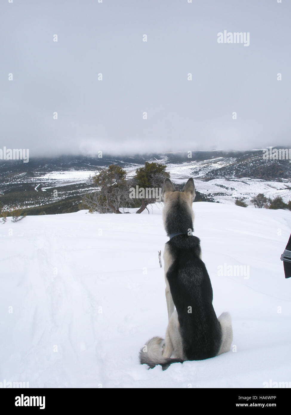 The Bureau of Land Management (BLM) in Nevada manages public lands to ...
