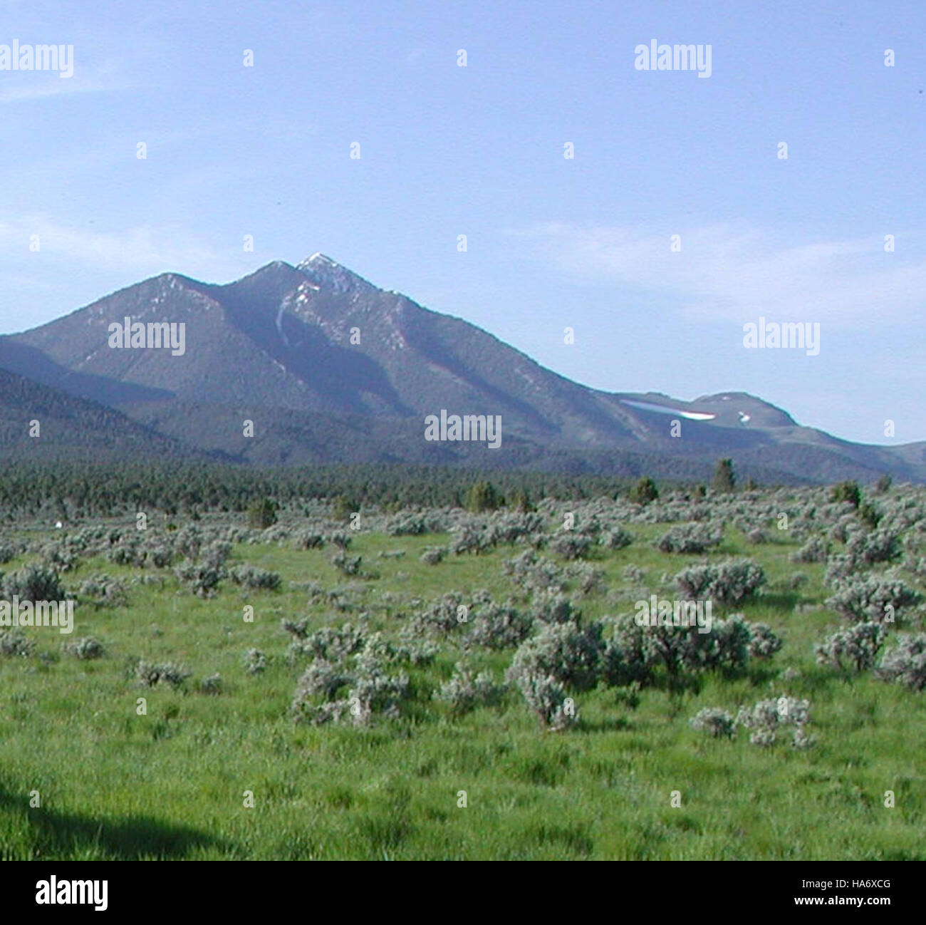 The Bureau of Land Management’s Ward Play area in Nevada combines ...