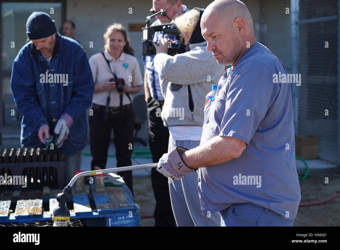 Step 4 of a restoration project on public lands managed by the Bureau ...