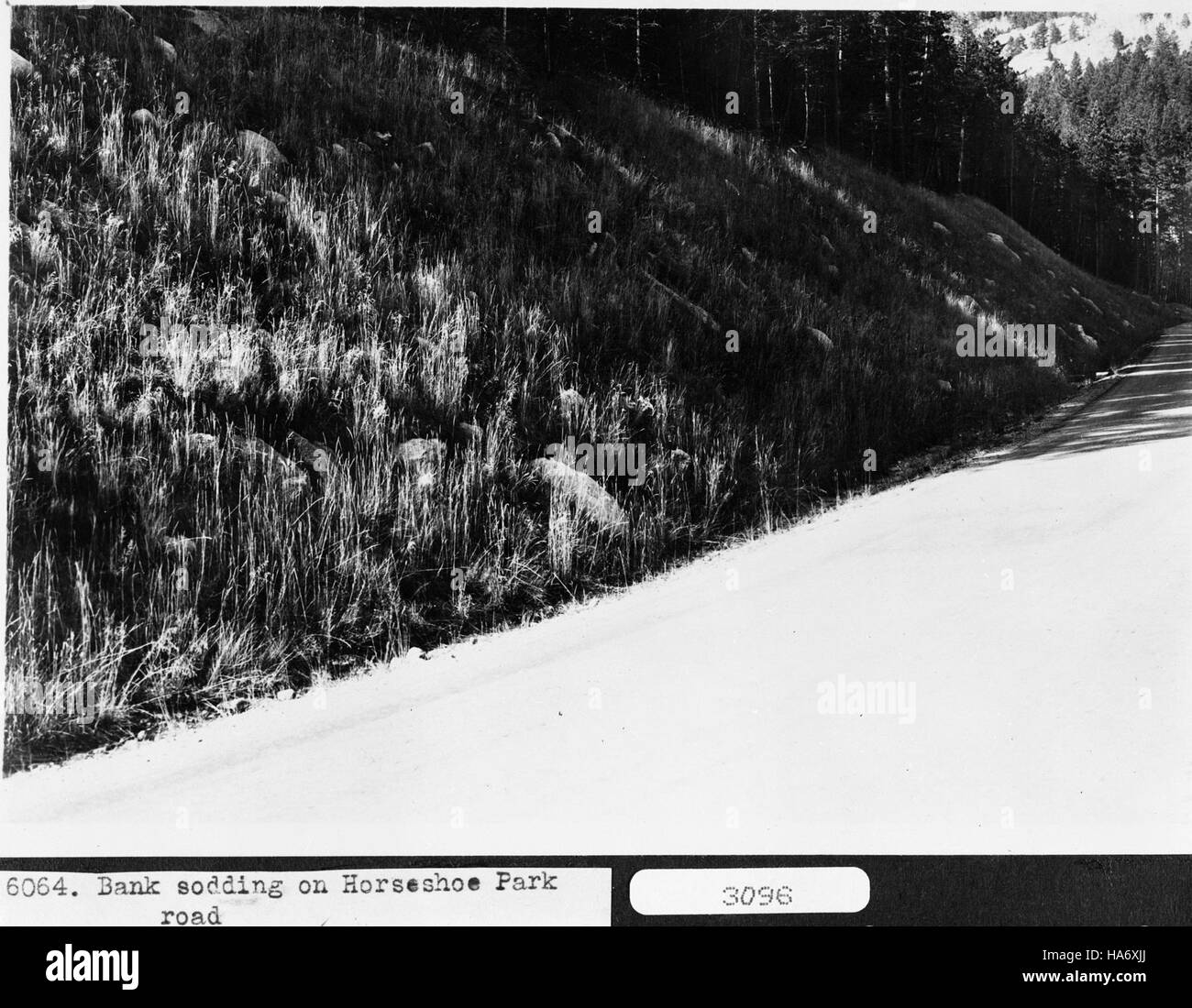 Sodding hi-res stock photography and images - Alamy