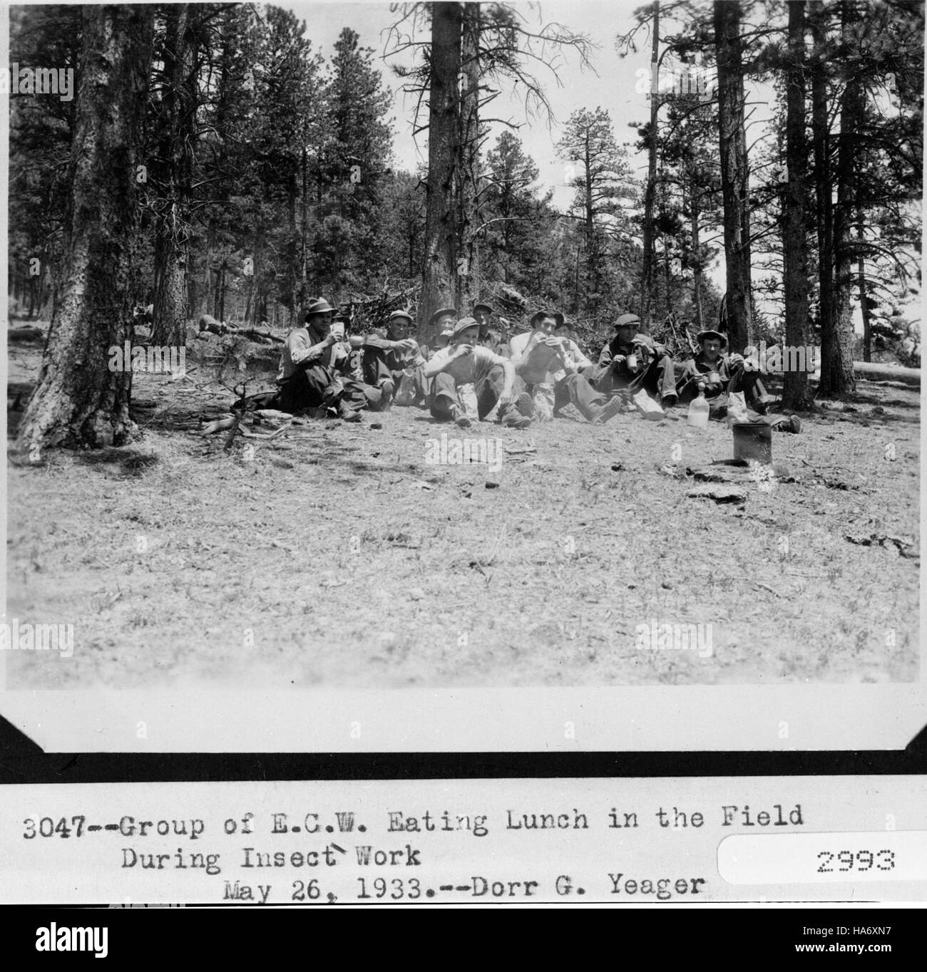 rockynps 25054913943 Group of E.C.W. eating lunch in the field during ...