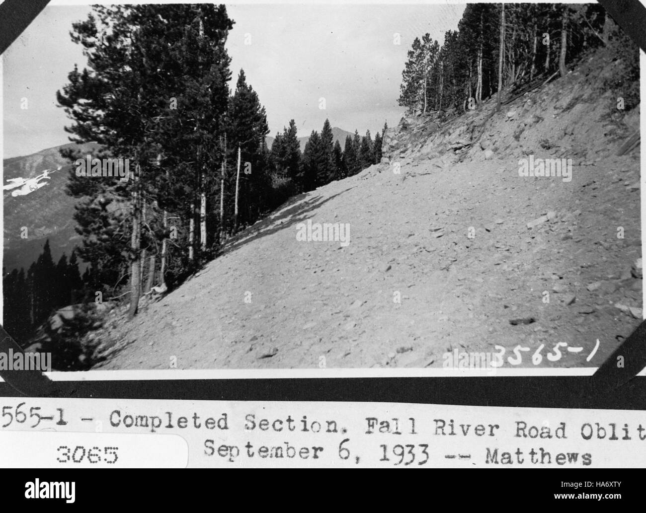 The image captures a section of the historic Fall River Road ...