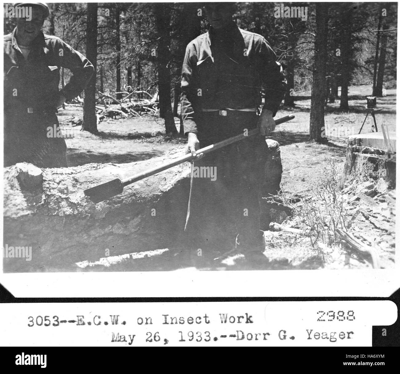 The image depicts members of the Civilian Conservation Corps (CCC ...