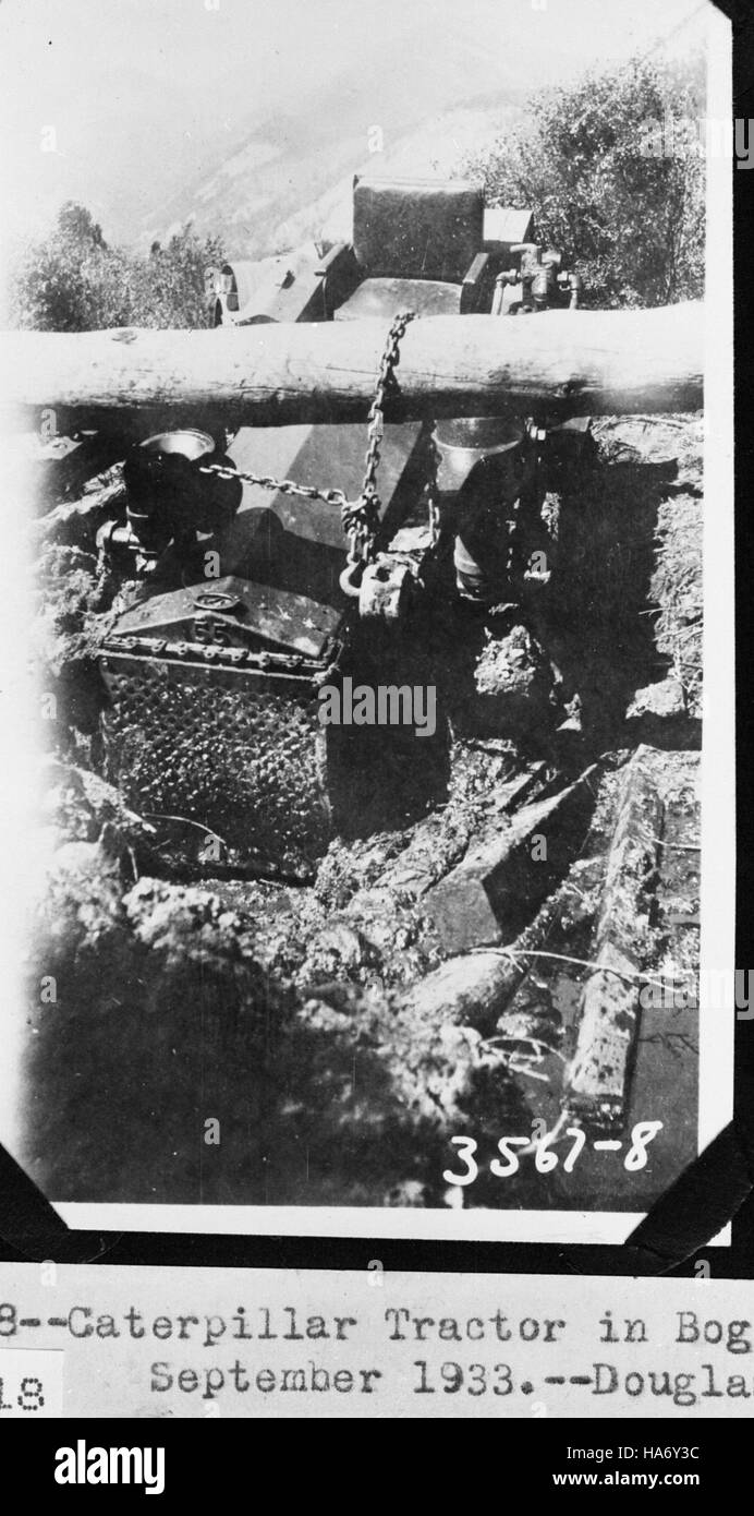 Bog caterpillar hi-res stock photography and images - Alamy