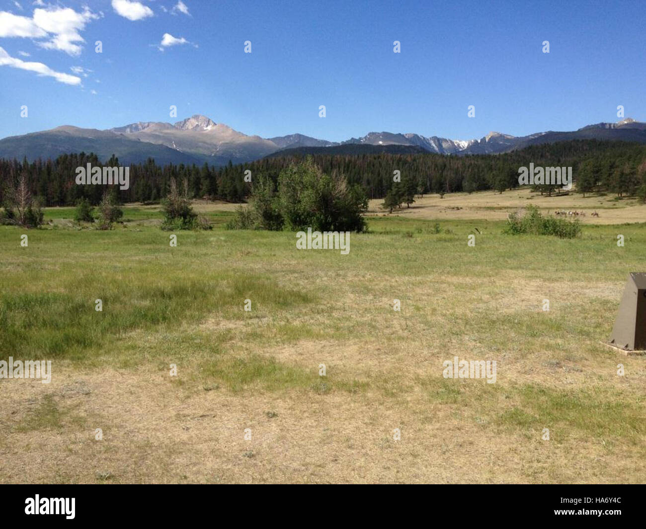 Upper Beaver Meadows in Rocky Mountain National Park offers a serene ...
