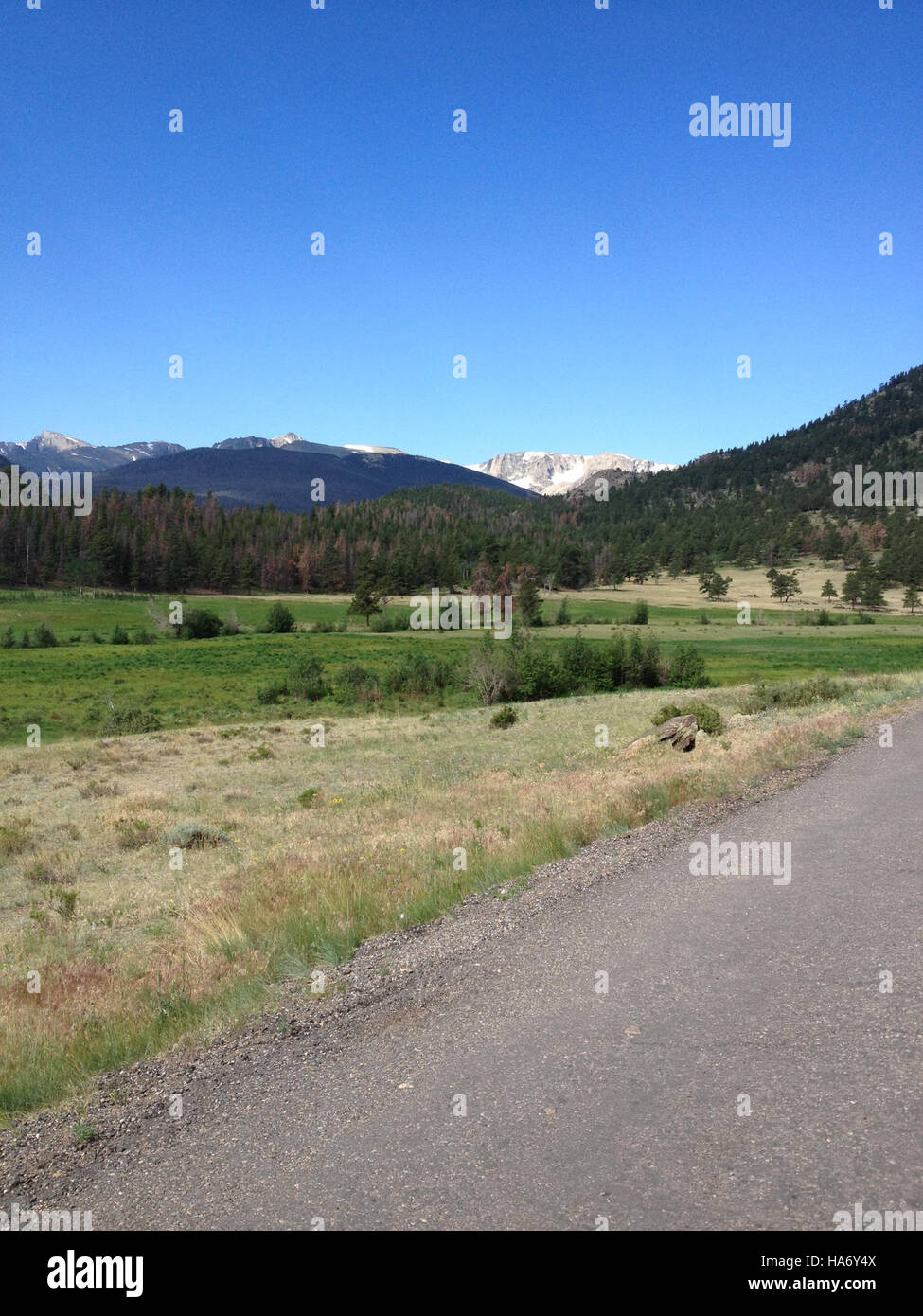 Upper Beaver Meadows in Rocky Mountain National Park showcases the park ...