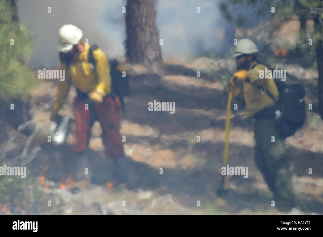 This image captures a controlled ignition in a Bureau of Land ...