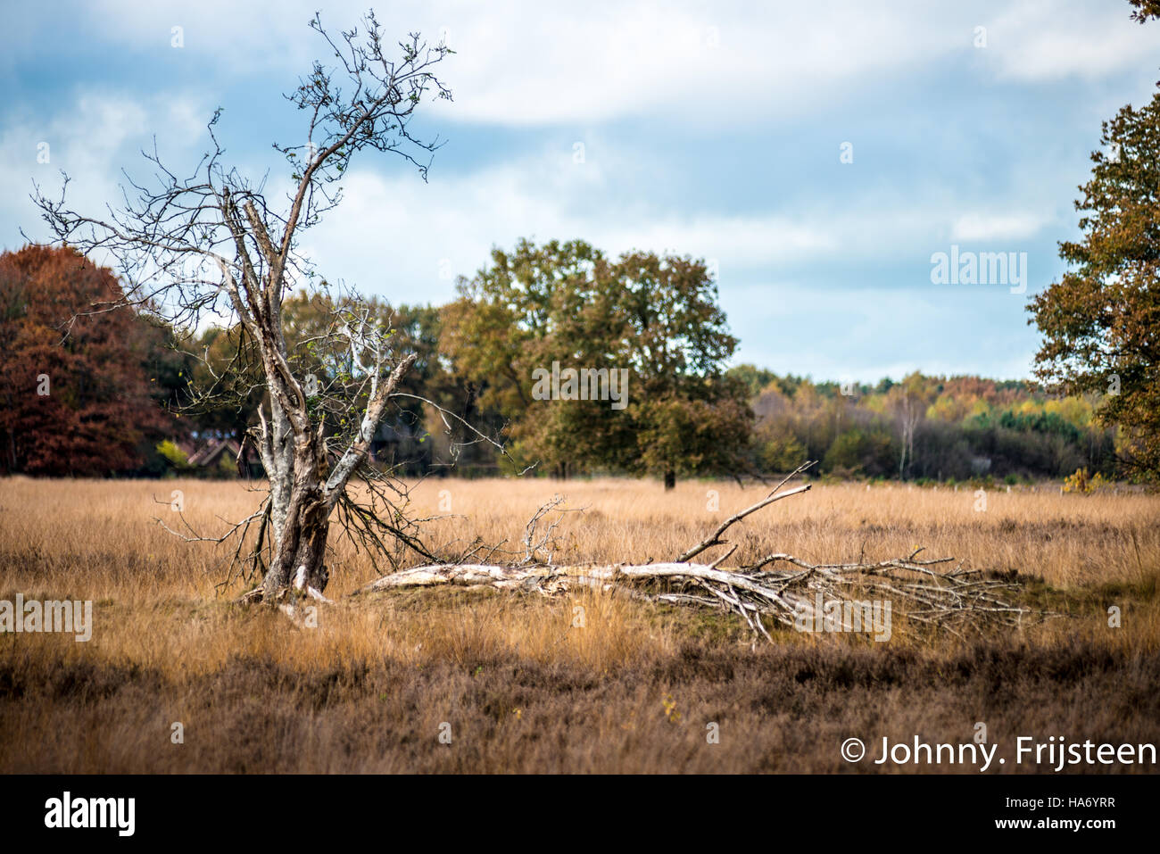 Lightning character hi-res stock photography and images - Alamy