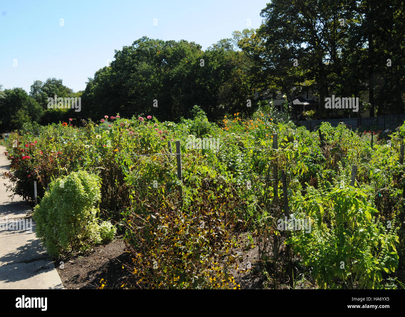 The USDA supports agriculture development through scientific studies ...