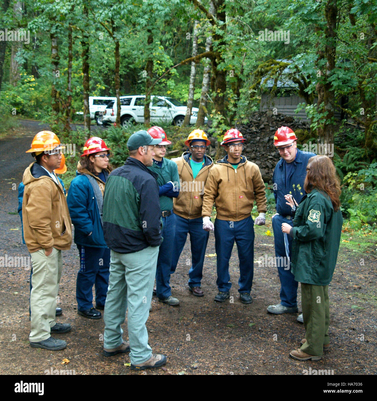 The USDA and Job Corps collaborate on stream restoration efforts at ...