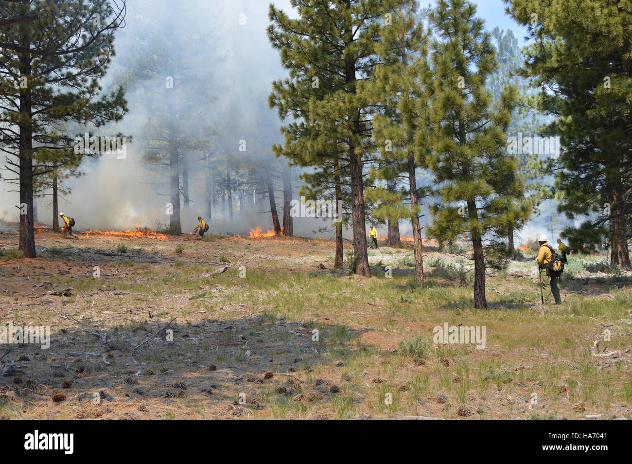 This image features controlled ignitions used by the Bureau of Land ...
