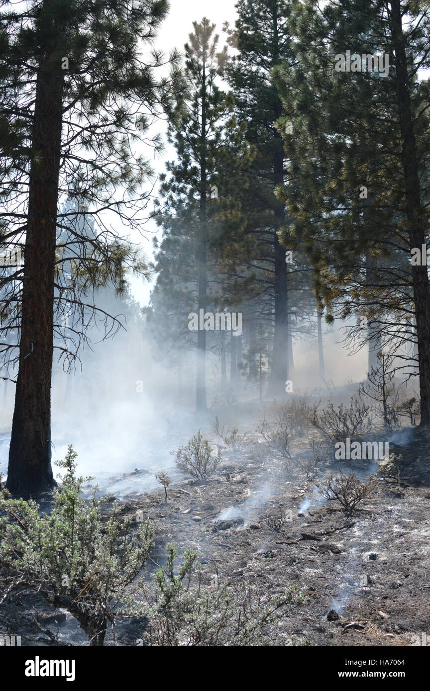 Fire behavior in national parks is influenced by environmental ...