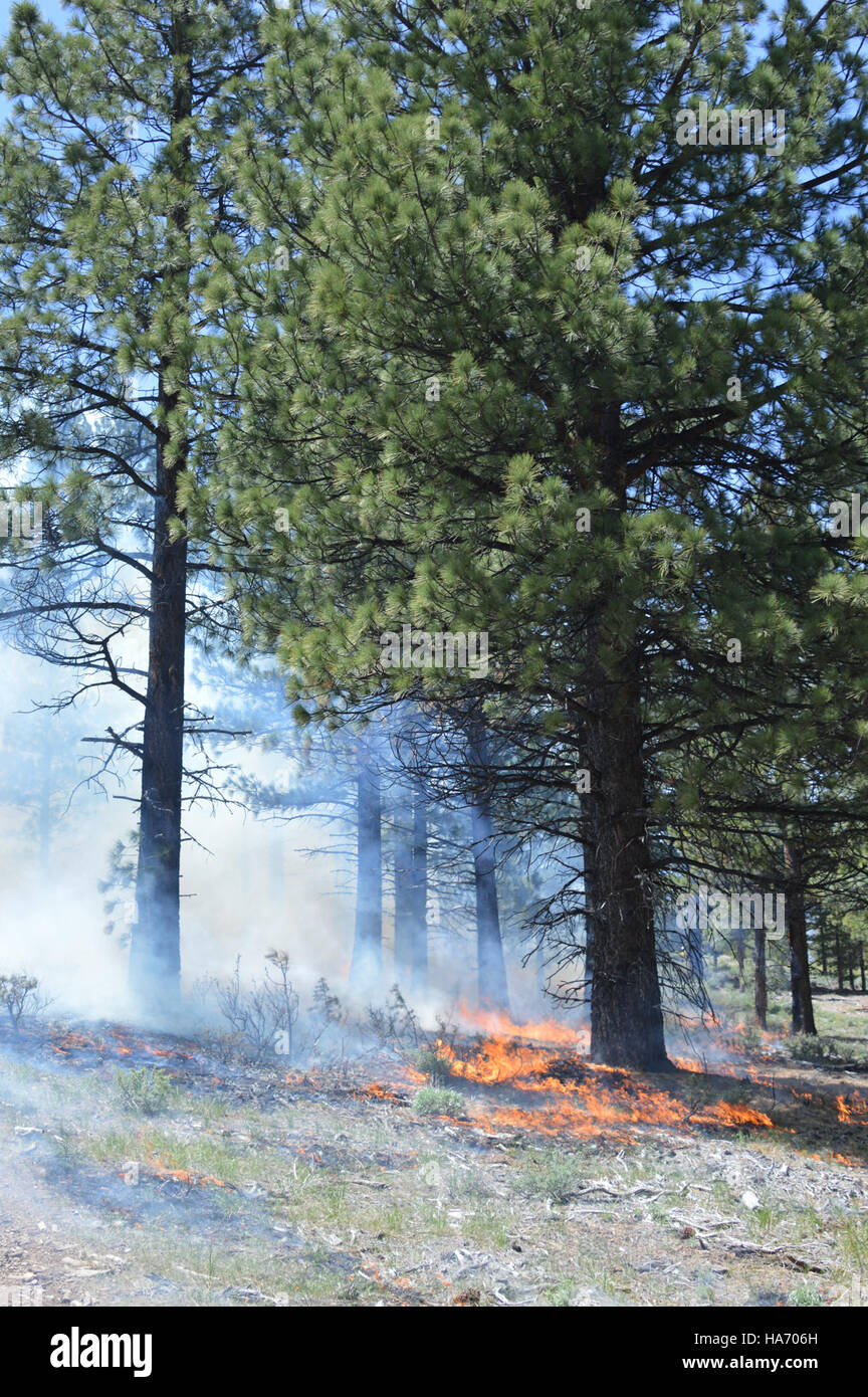 The Bureau of Land Management provides critical information on fire ...