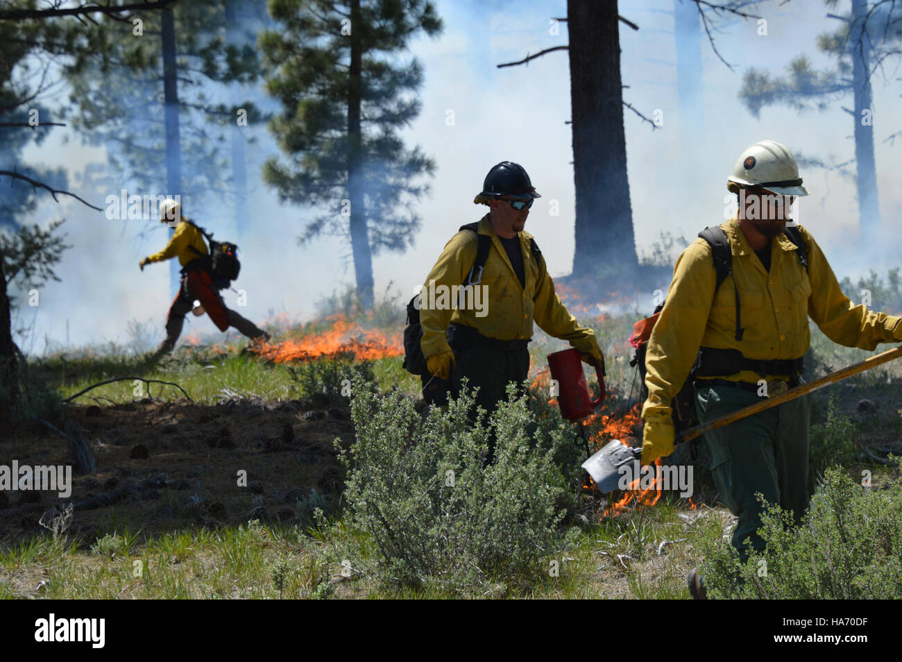 Bureau of fire prevention hi-res stock photography and images - Alamy