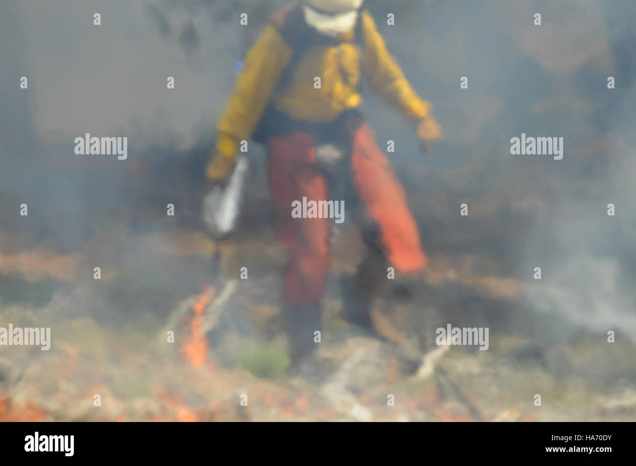 The Bureau of Land Management manages ignition control programs at ...